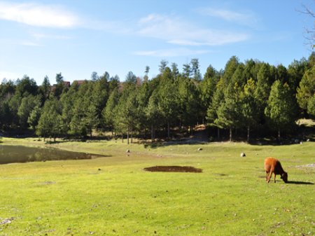 Natyral Razma Resort, Razma, Shkodra, Albania